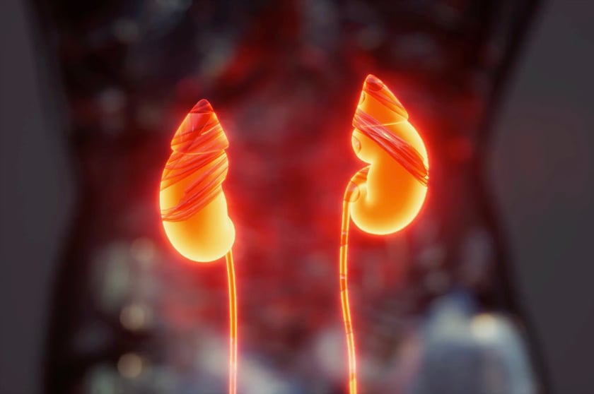 6 Warning Signs our Kidneys are Toxic